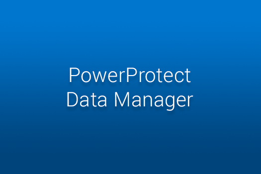 Dell PowerProtect Data Manager Setup - irgNET